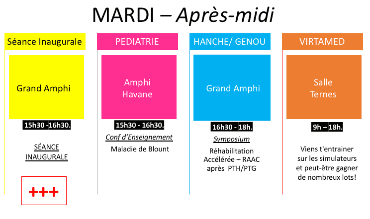 Guide CJO/SOFCOT Ma Première SOFCOT - Collège des jeunes orthopédistes